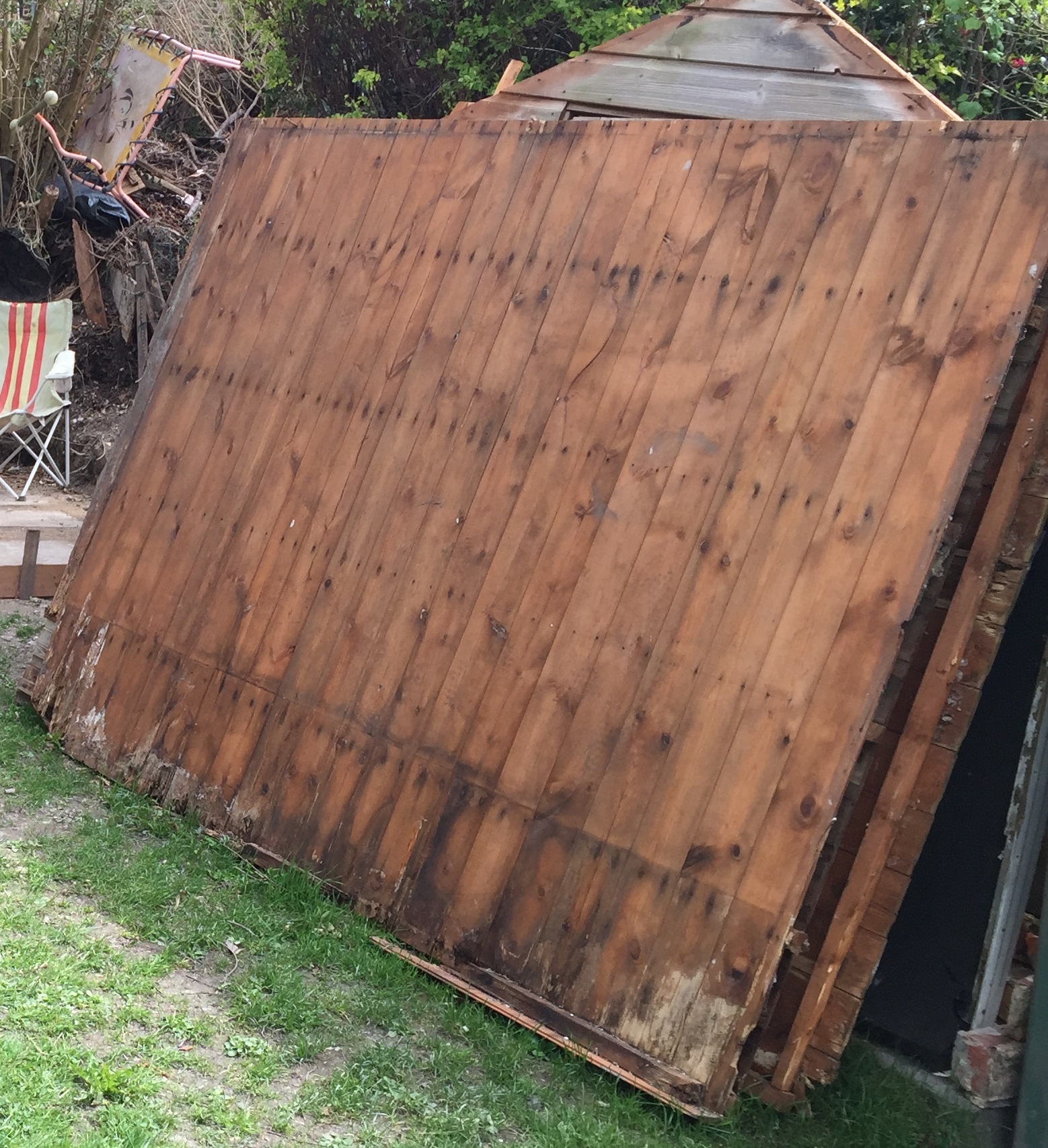 Rotten shed cut down to size - Green Goose Gardens