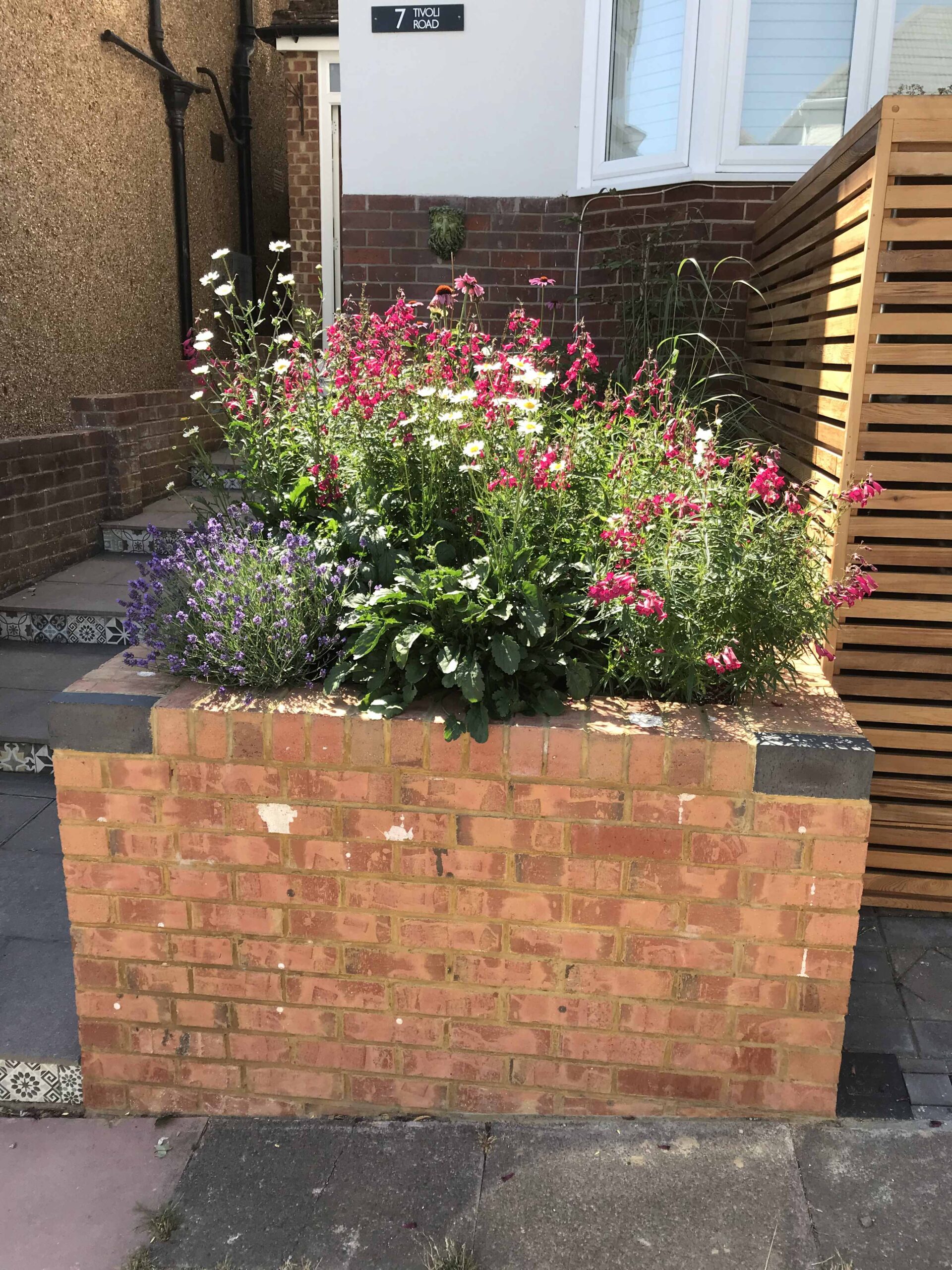 Front Garden for Nature